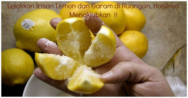 Coba Letakan Irisan LEMON dan GARAM Diruangan Kamar, Hasil Sangat ...
