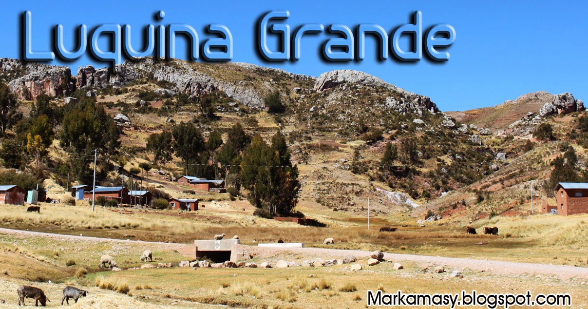 Markamasy.blogspot.com: LUQUINA GRANDE - PUNO PERU