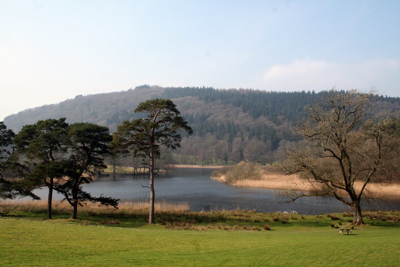 One Man and his Mog: March 2012