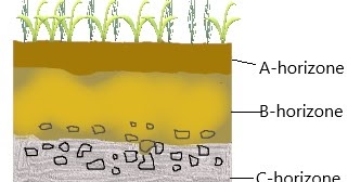 Class-7 Science Chapter-9 Soil, Additional Exercises in line with NCERT ...