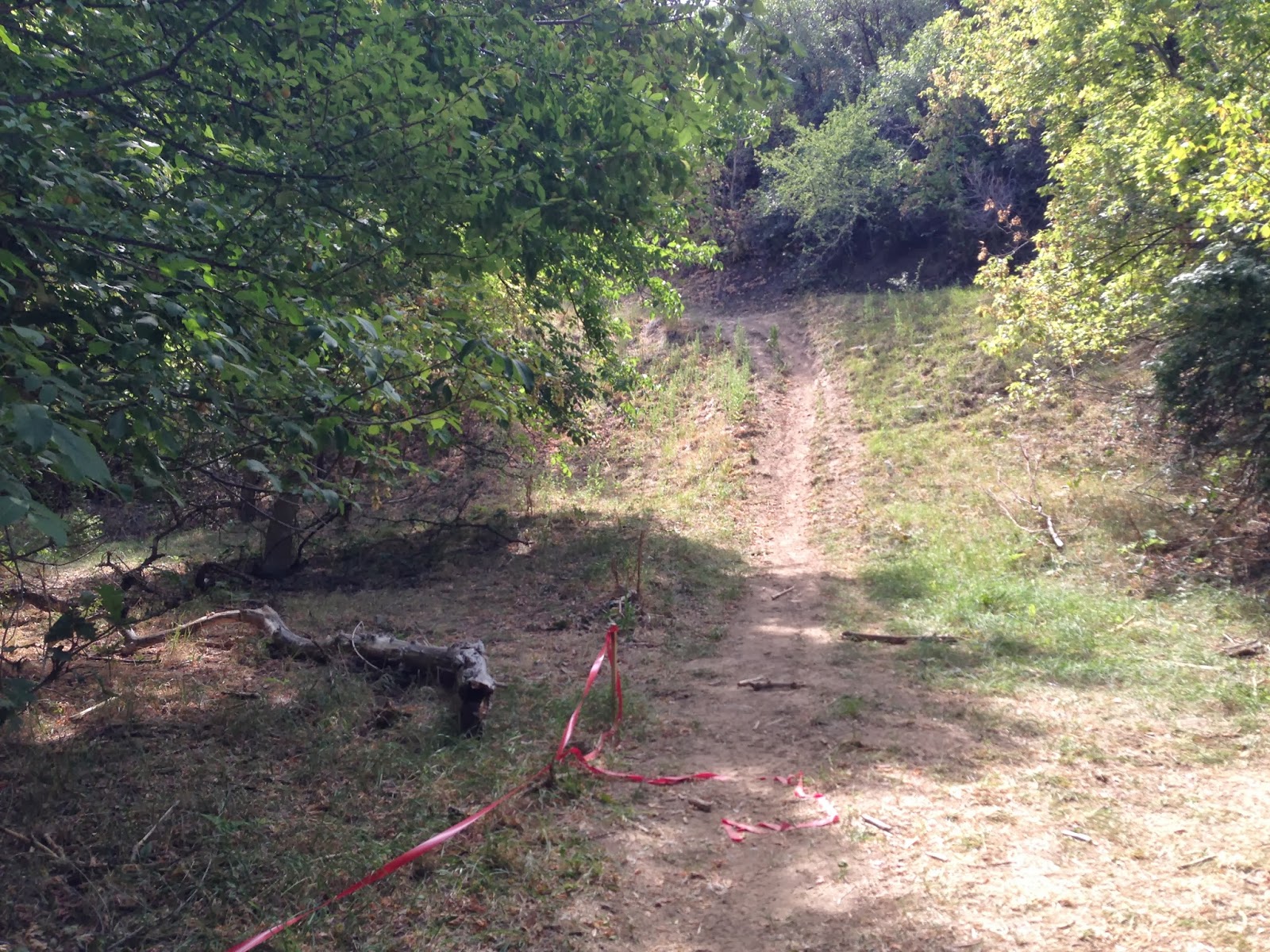 The Mystery of Kay's Cross: Photos