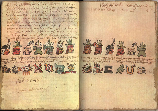 Reflexiones desde Anáhuac: Paleografía del Códice Tudela