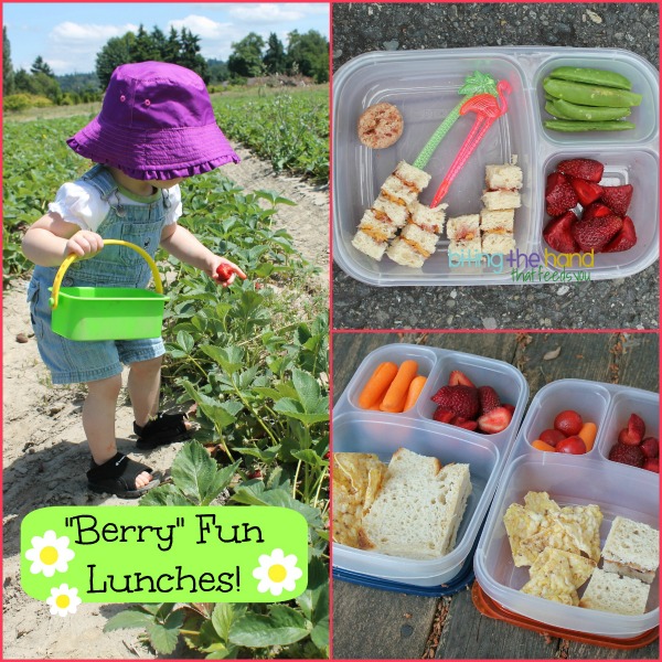 Biting The Hand That Feeds You: "Berry" Fun and Easy Lunches!