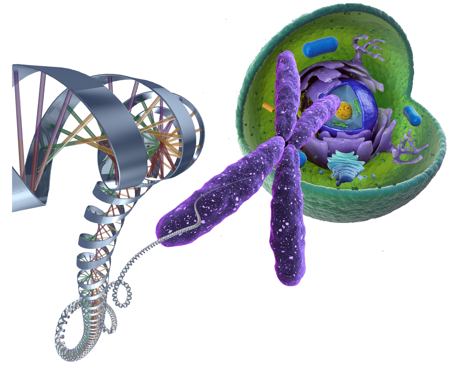 Isolasi RNA - Generasi Biologi