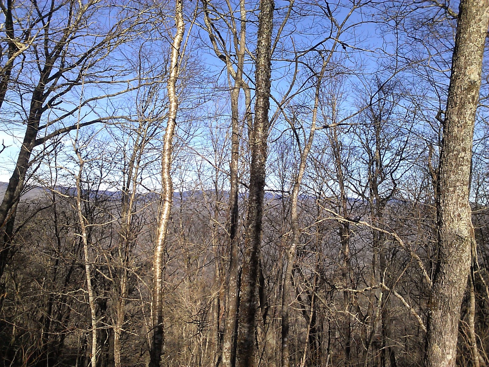 Hikes: Deep Creek - Martins Gap - Sunkota Ridge - Thomas Divide