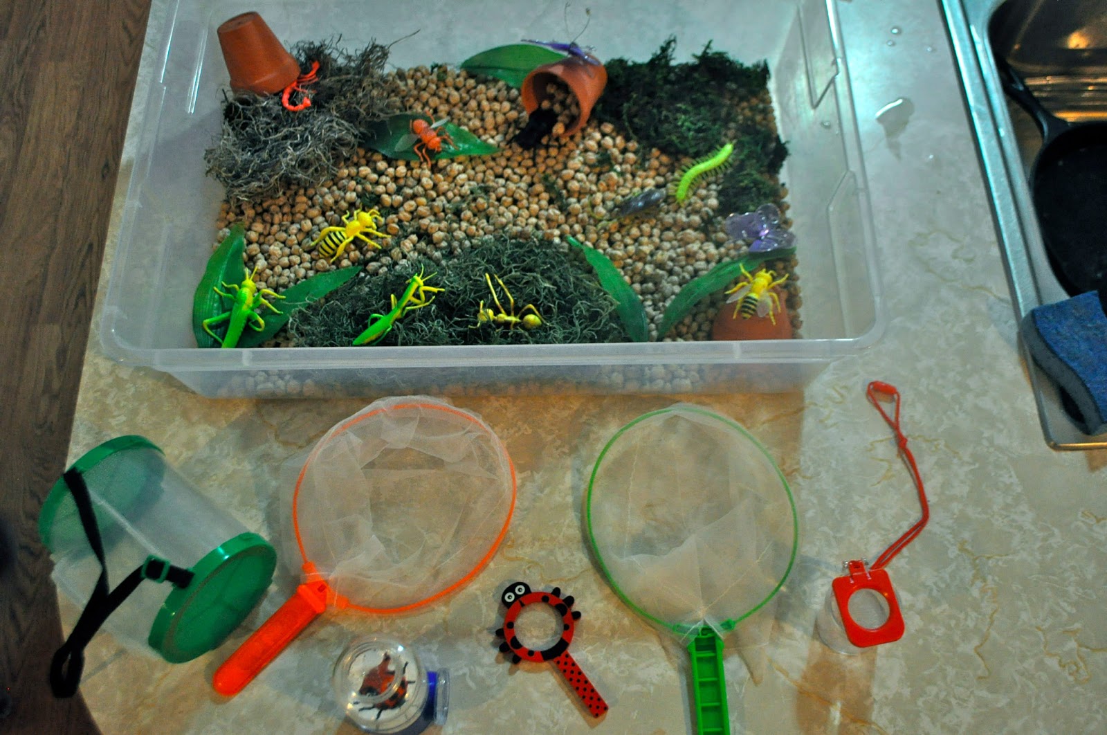 Minding Monkeys: Sensory Bins