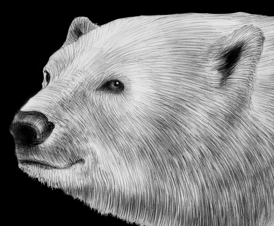 Tim Jeffs Art