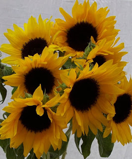 Flowerstory: Sunflower