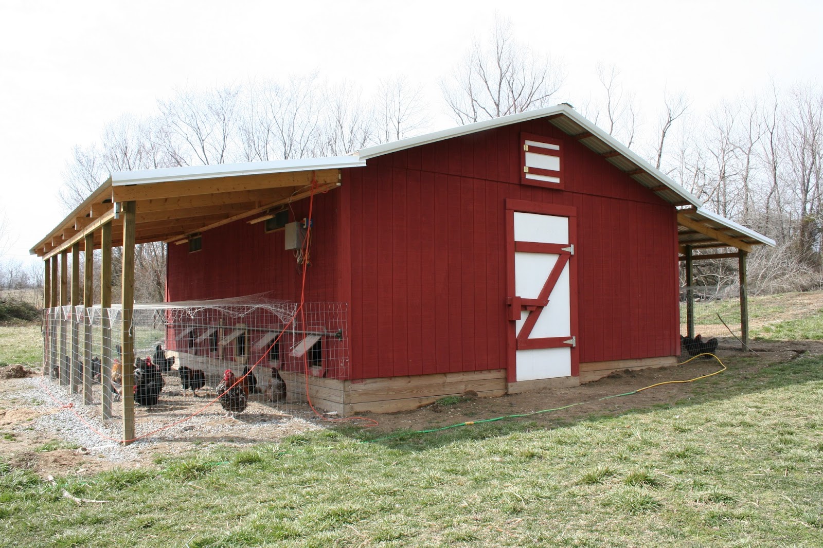 Chicken Scratch Poultry: Barn Expansion