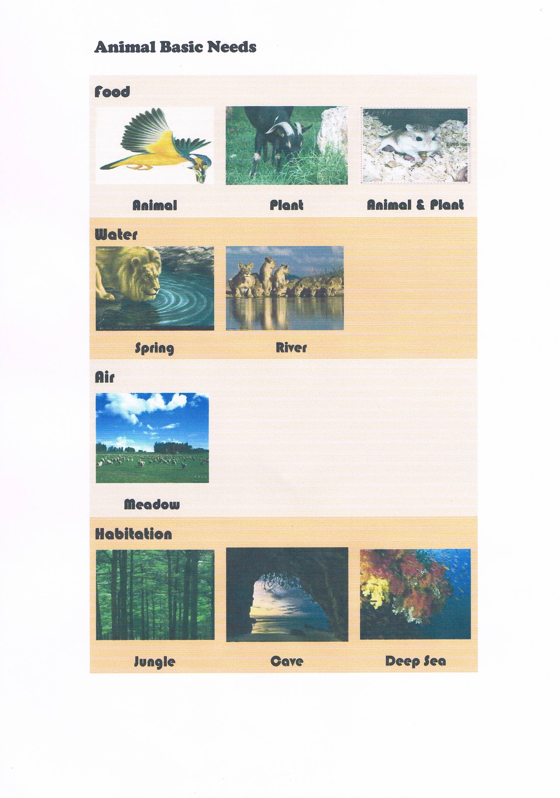 Science Garden Year 2 Animal Basic Needs Importance Of Animal Basic science-garden-year-2-animal-basic-needs-importance-of-animal-basic