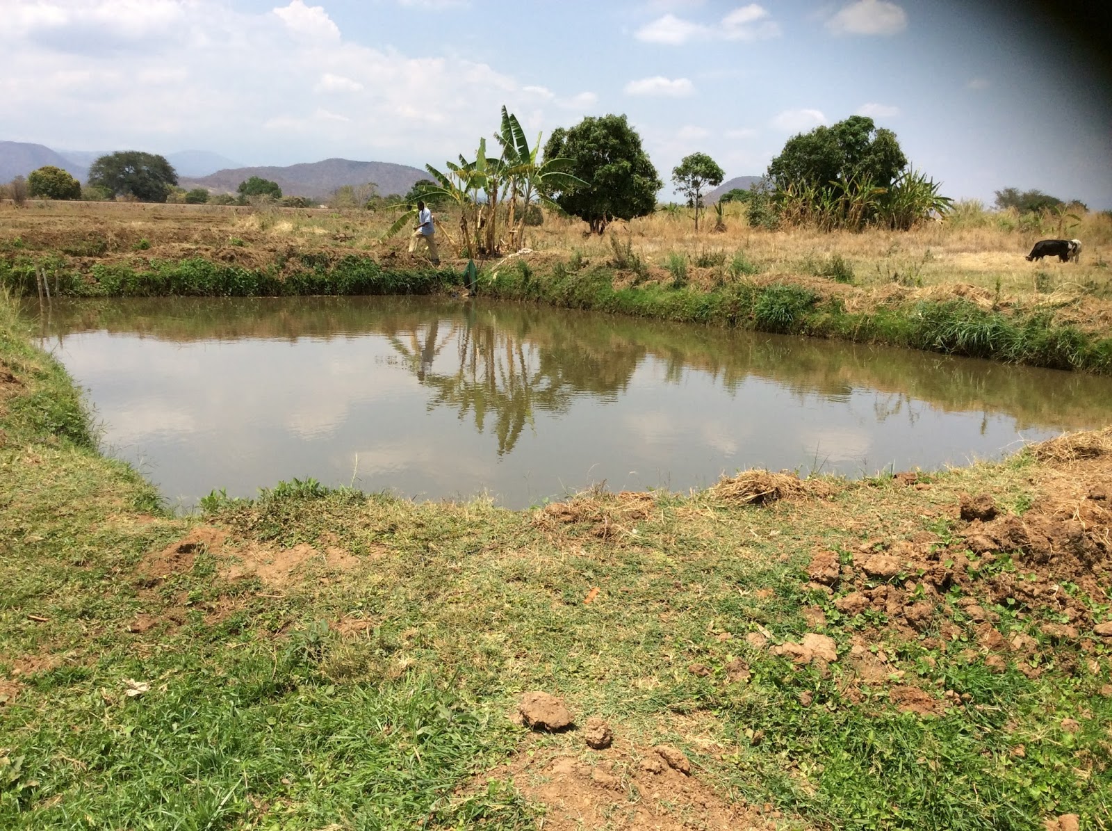 Mmanda Aqua- Farming blog: Eden Agri-Aqua Farming Centre, Tanzania