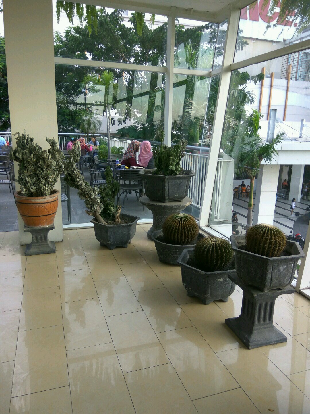 Cactus in the Sumarecon Mall Bekasi - Fitriana Adi