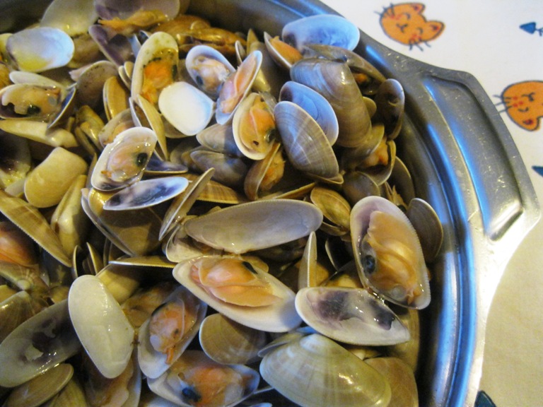 Cozinha com a Anna: Conquilhas à Algarvia