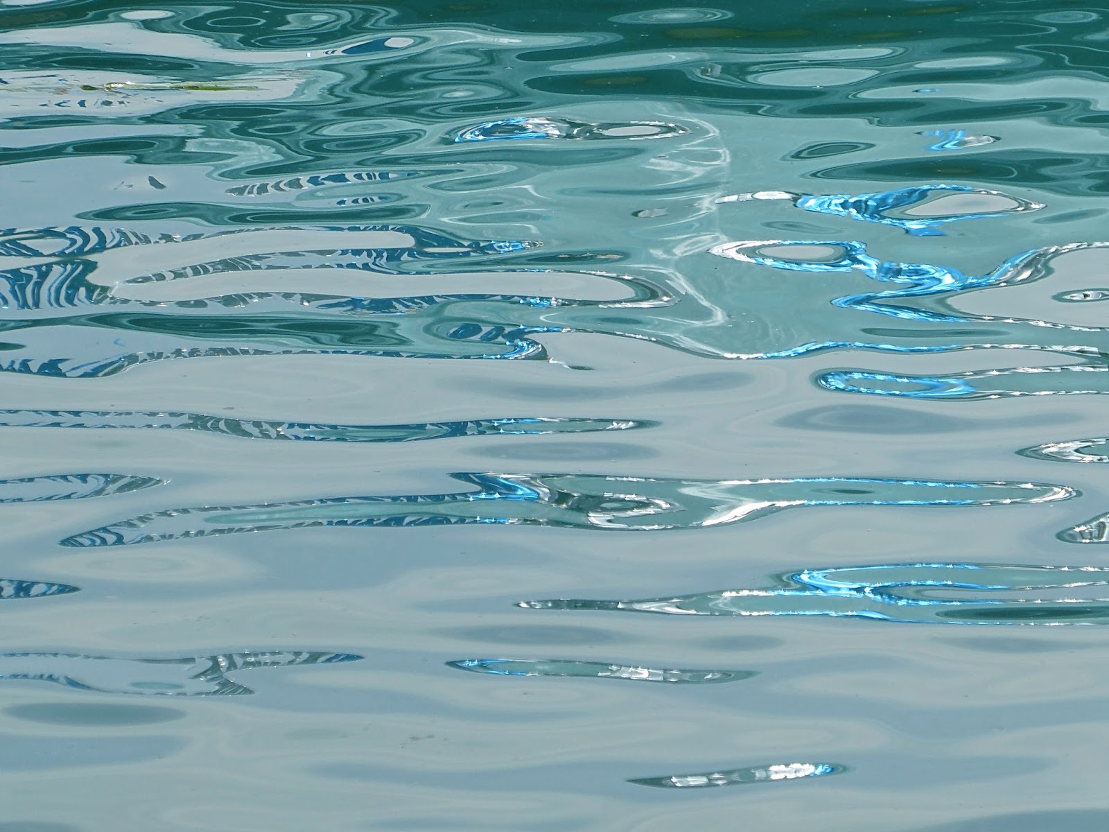 Aqua Reflections - Reflections and Nature