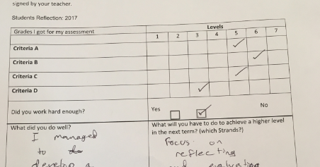 Term 1 Reflection Sheet