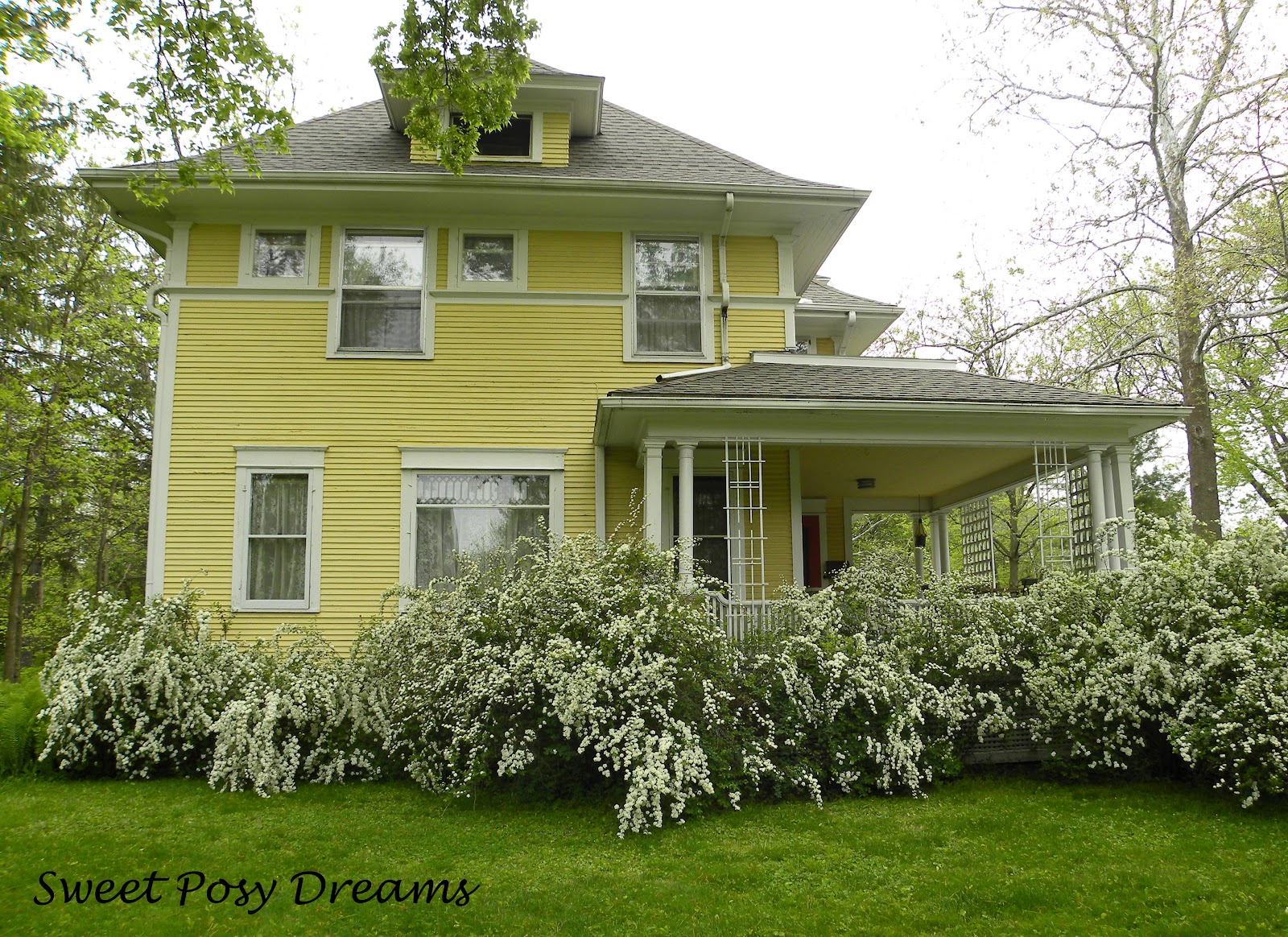 Sweet Posy Dreams: May Day Flowers