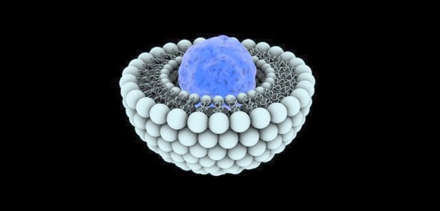 Nano-Capsules Show Potential for More Potent Chemoprevention