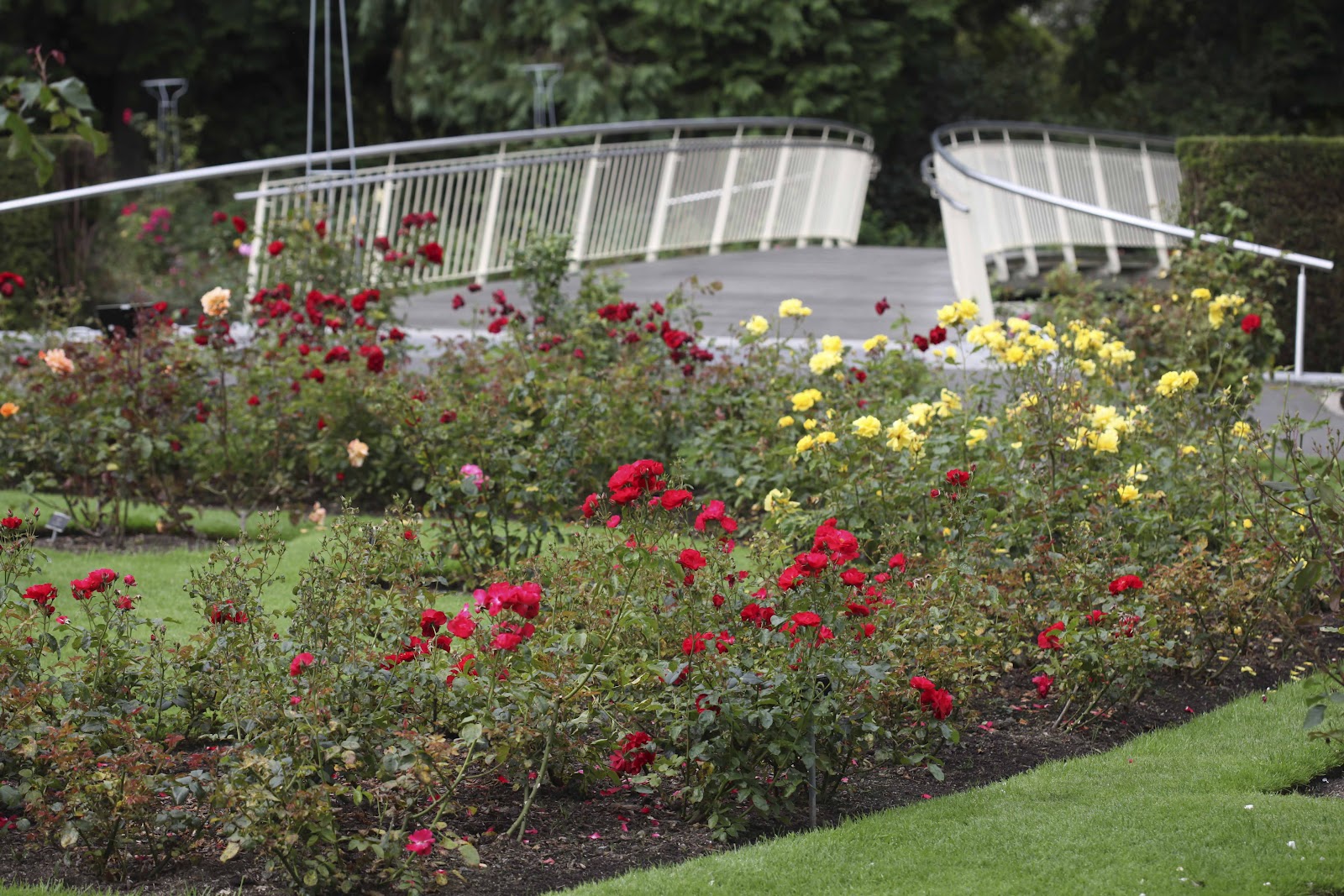 Garden Living: Botanisk hage - Dublin