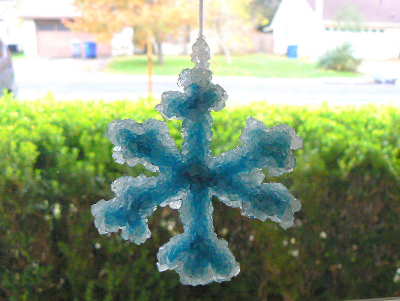 Having Fun at Home: Borax Crystal Snowflakes