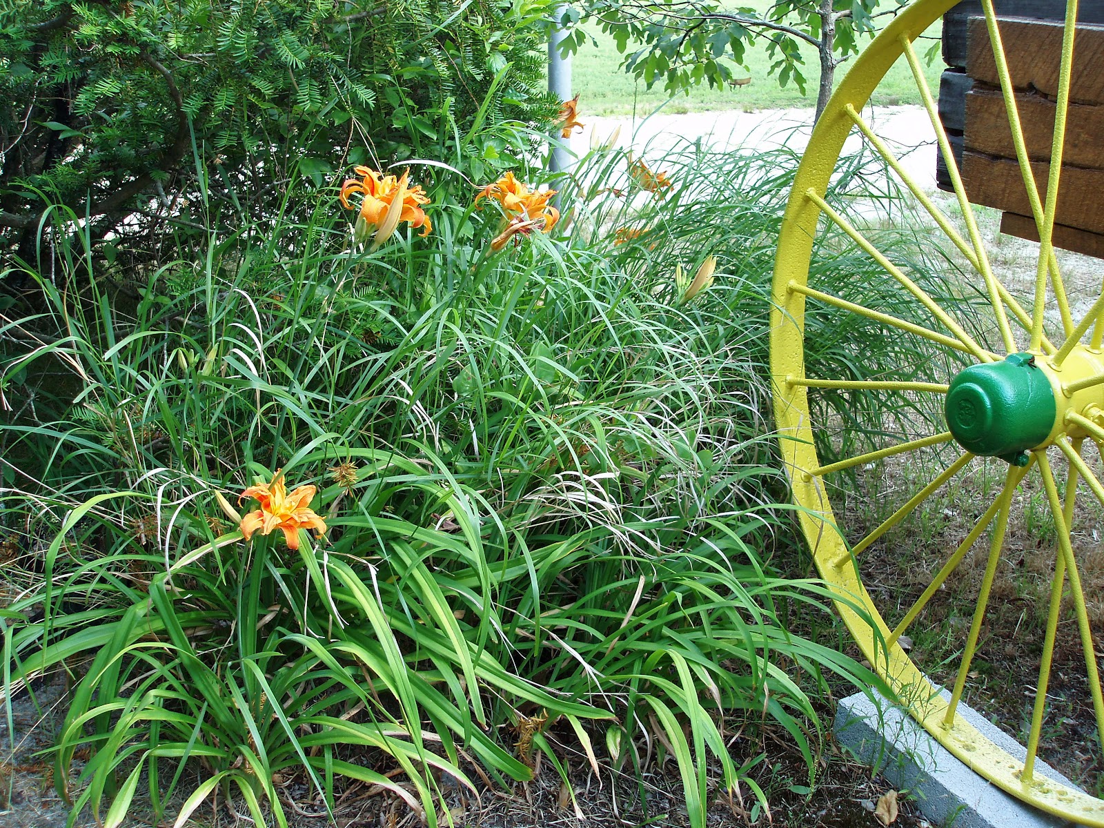 Everyday is a New Day: Roadside Flower Show