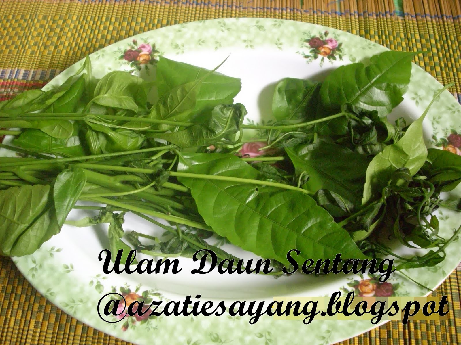 ♥♥Azatiesayang♥♥: Sambal Kelapa & Ulam Daun Sentang.