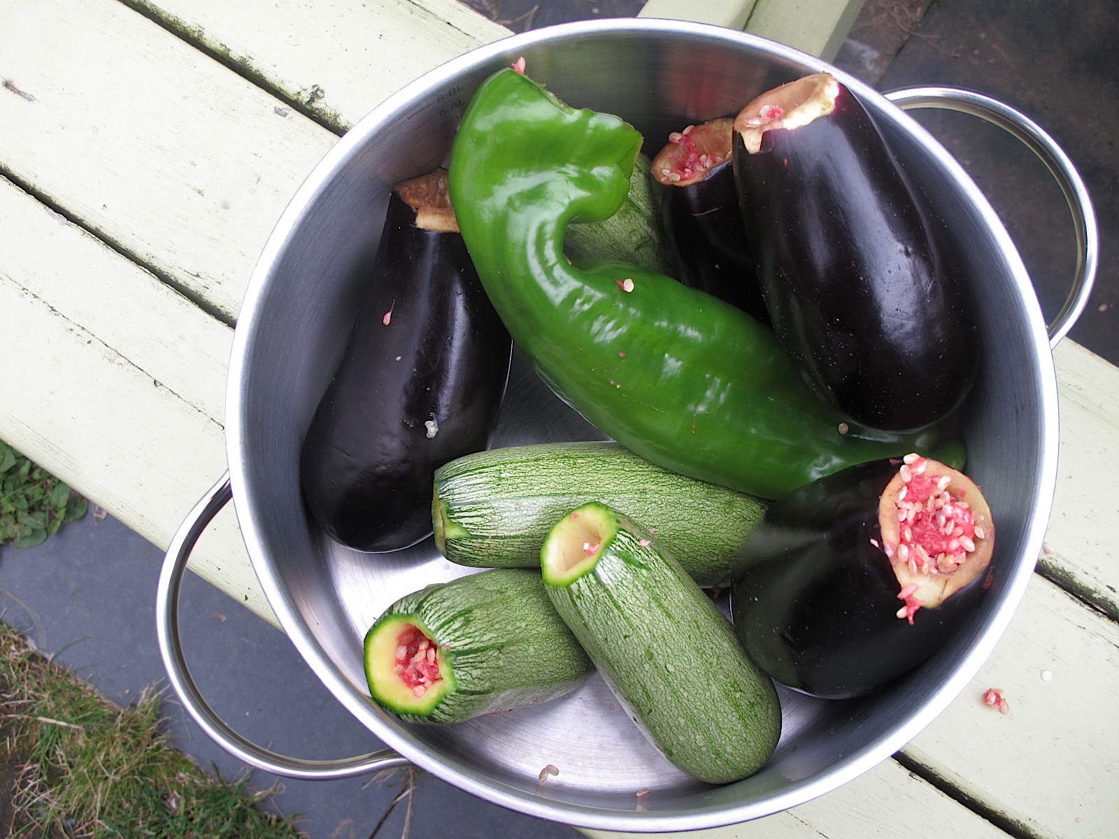 somerville kitchen: Mehshi Kousa Wa Batenjén