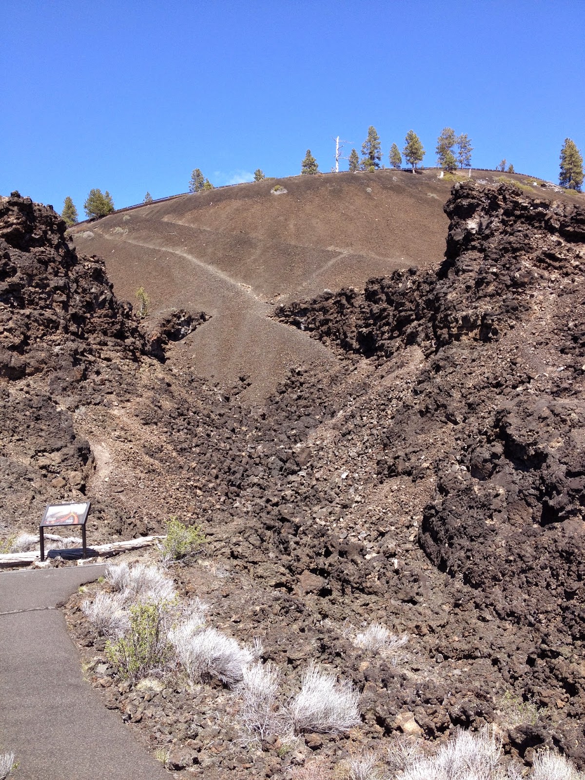 BB, Henri and Me: 4/26/14: Newberry National Volcanic Monument