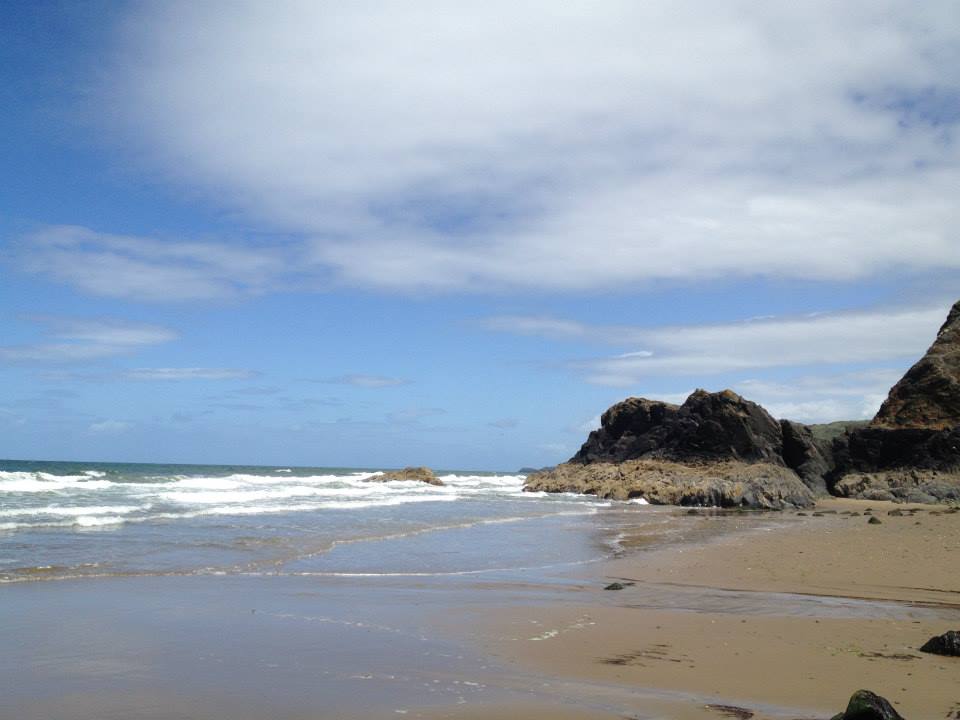 Sunday roast while spotting dolphins – New Quay – Wales ...
