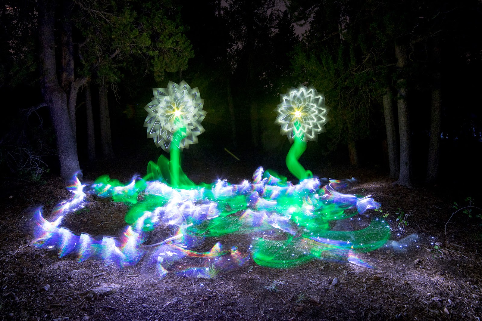 Light Painting Flower Tutorial - Photography Blog Tips - ISO 1200 Magazine