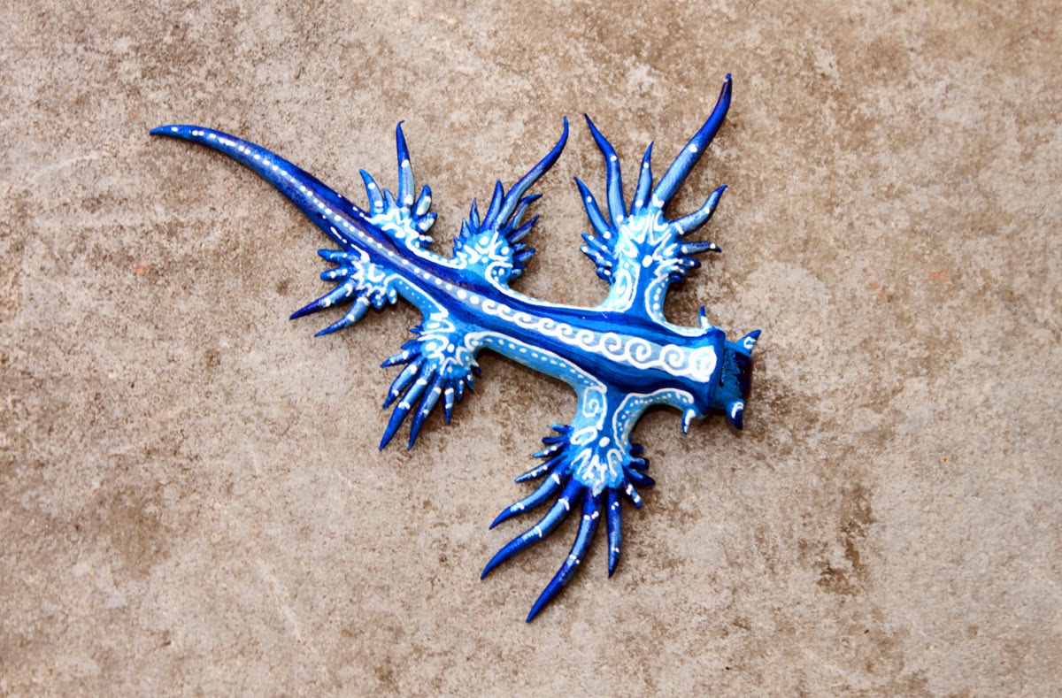 Animalscience Educa: ¿CONOCES EL GLAUCUS ATLANTICUS?