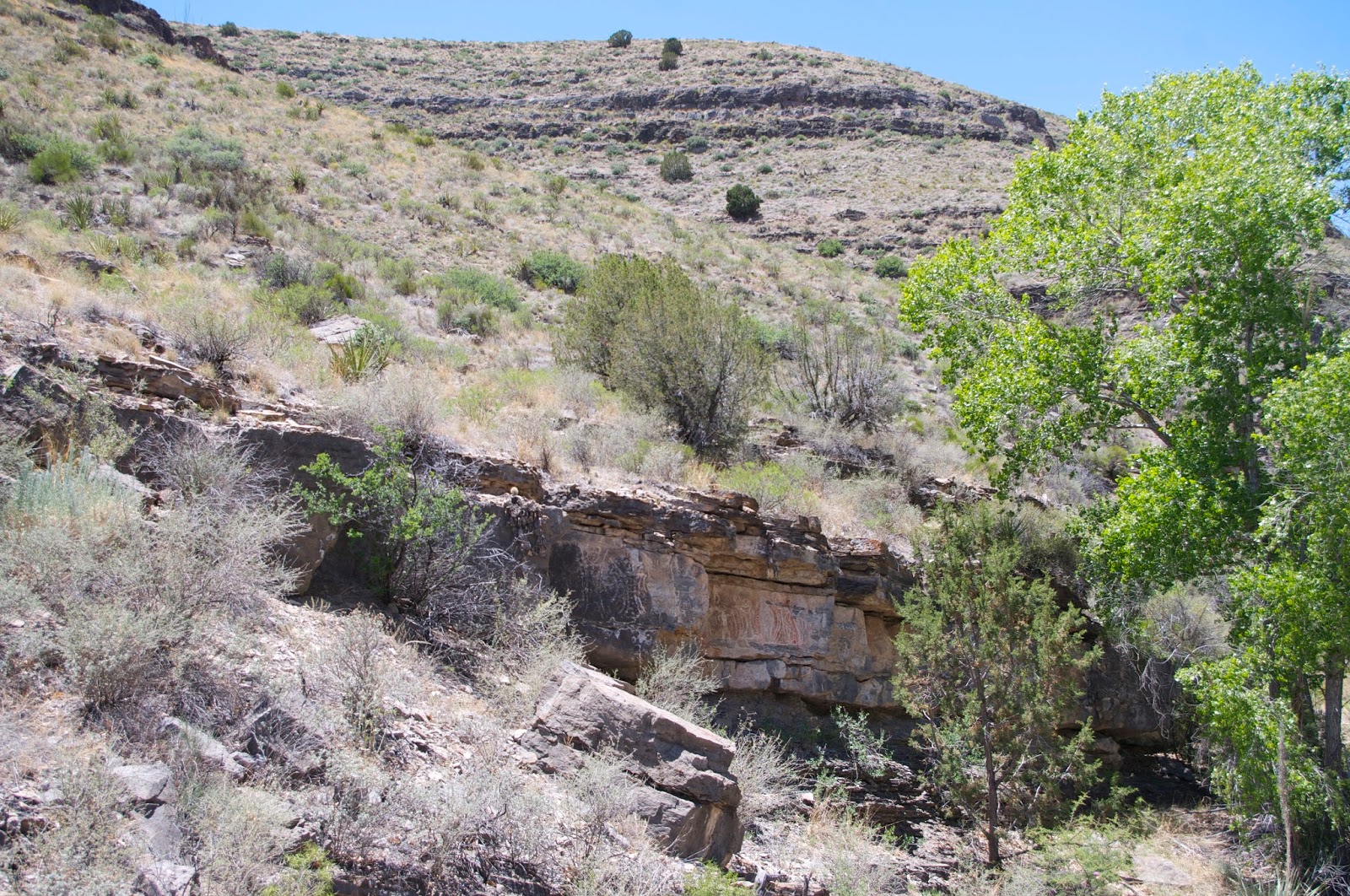 Southern New Mexico Explorer: Hembrillo Canyon