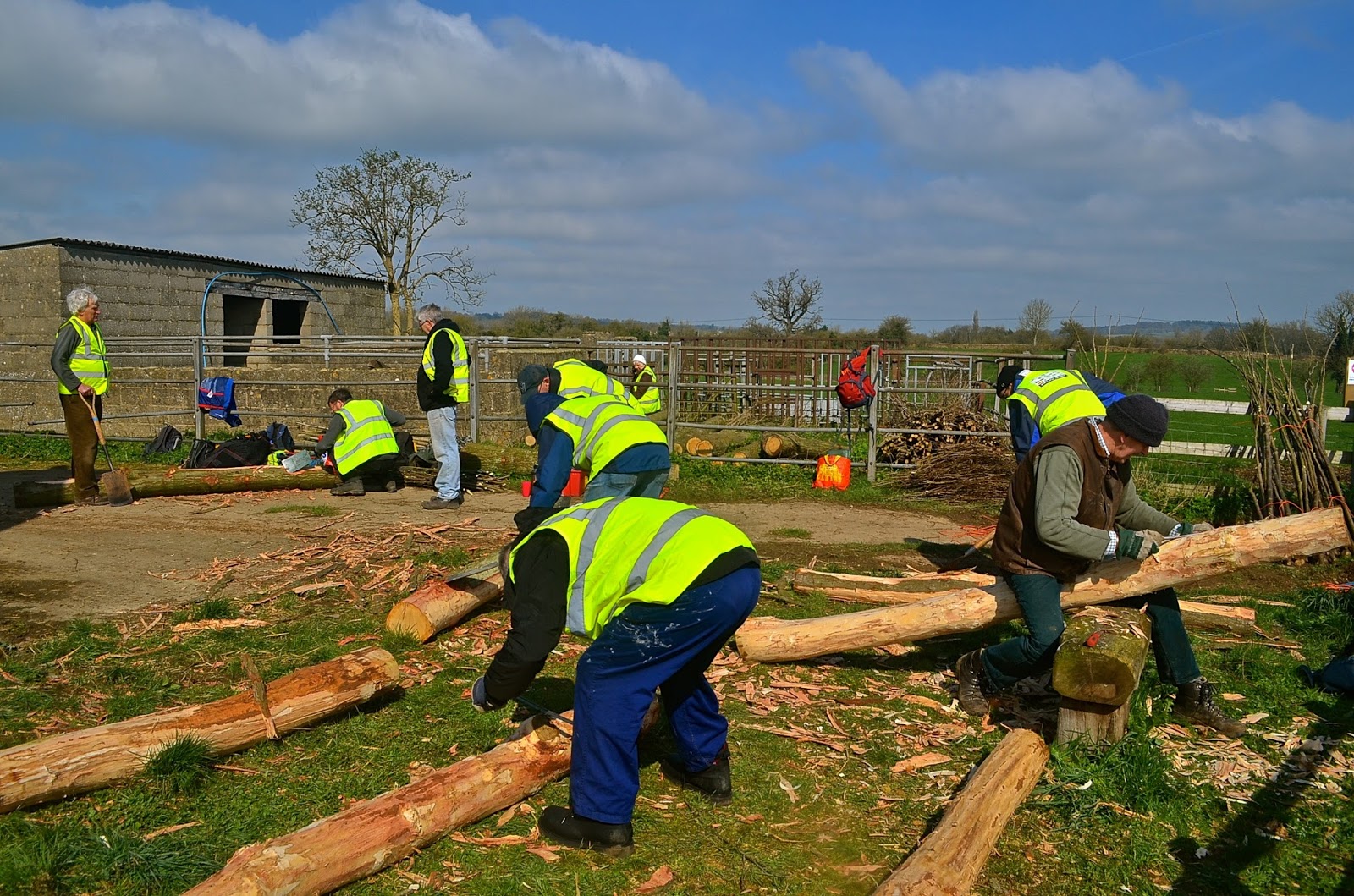Countryside - 'a behind the scenes view': Bark spade and drawing knife ...