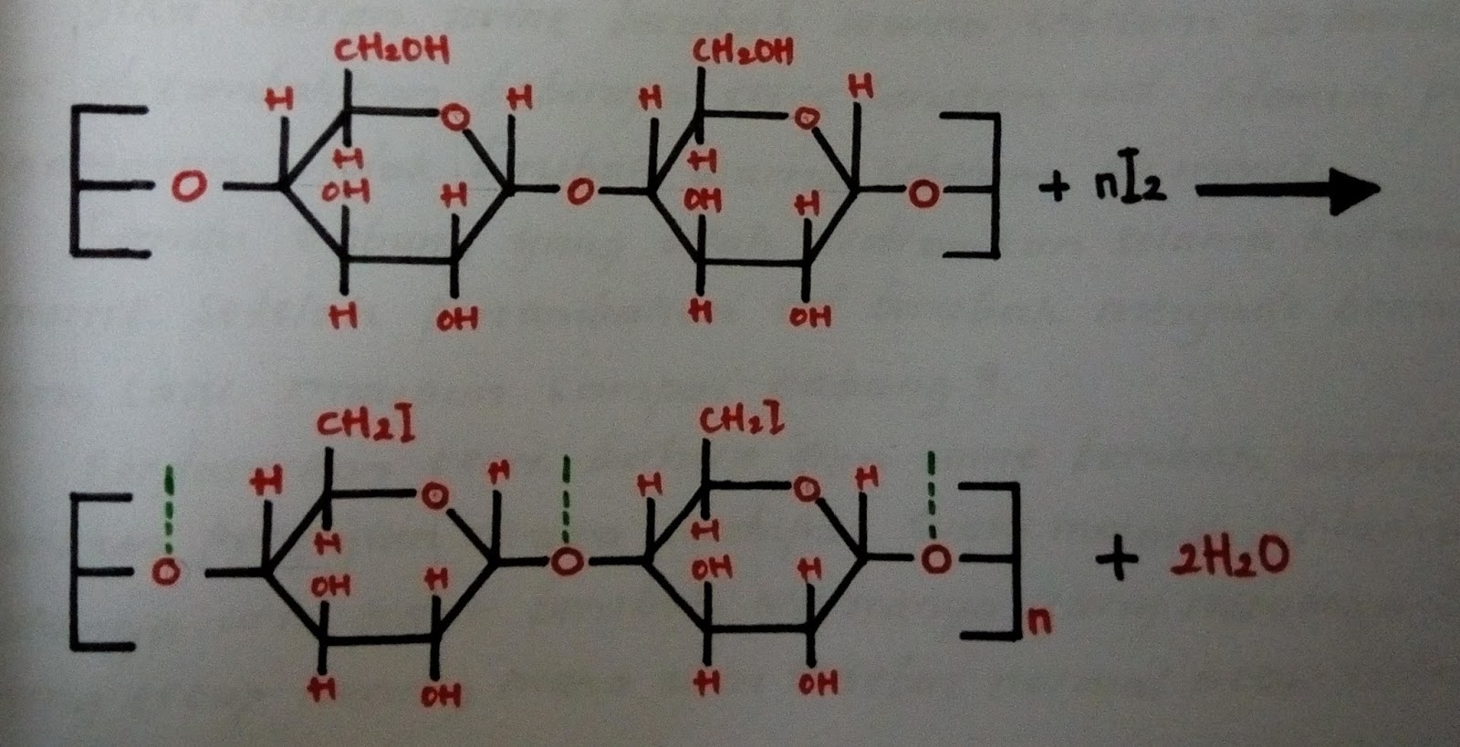 Biology.edu Fiswan 2: Laporan Praktikum Fisiologi Hewan ke-2