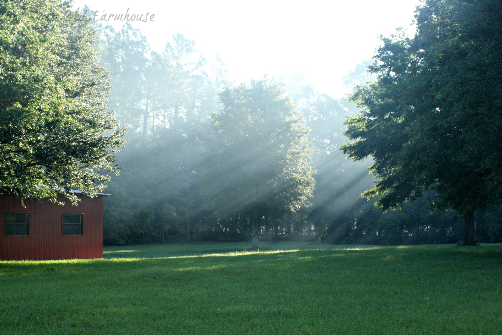 The Cozy Old "Farmhouse": As Surely as the Sun Rises