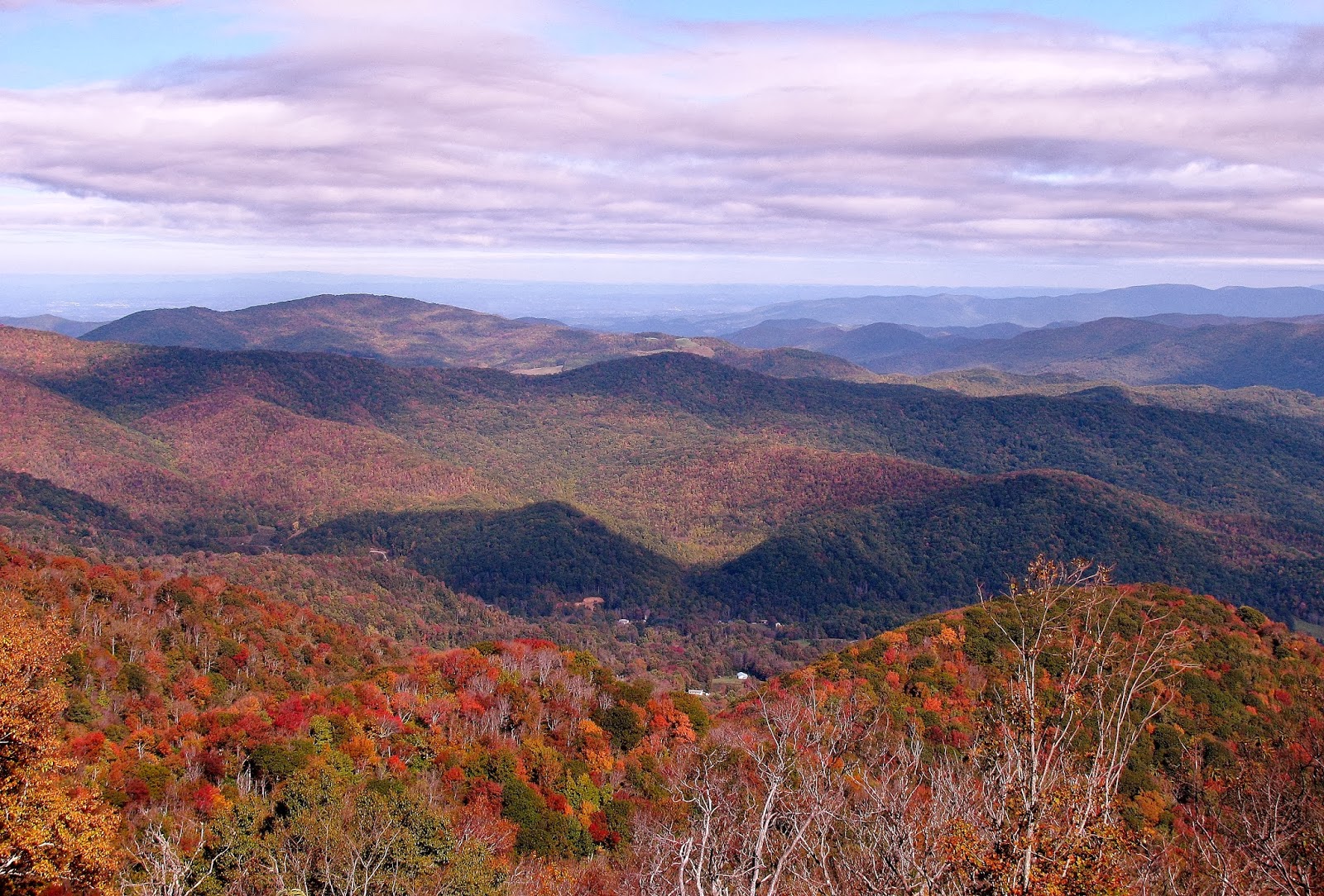 Tales From The Wood Booger: AT Day Hikes: Roan Highlands