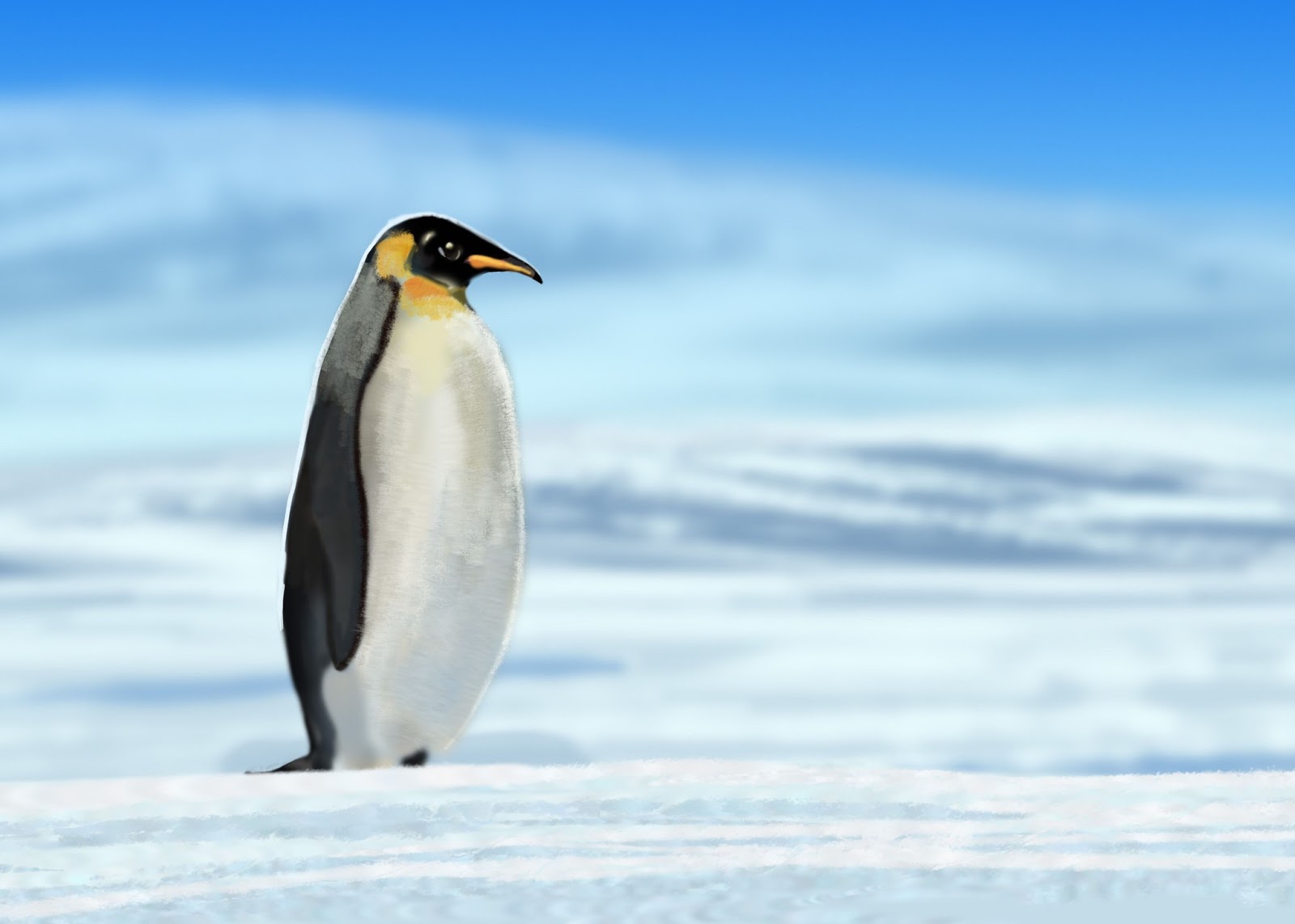 Zoo Park Run Your Own Animal Sanctuary The Emperor Penguin zoo-park-run-your-own-animal-sanctuary-the-emperor-penguin