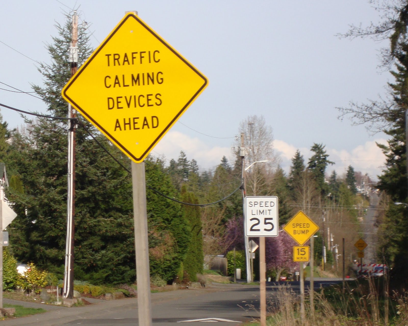 Traffic Calming Device - Defensive Driving School