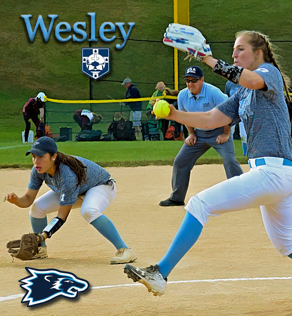 Wesley Wolverines Fastpitch Softball: GREATEST COMPETITOR