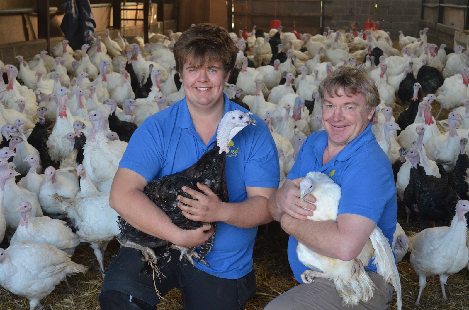 Teesdale Mercury: Gobbling up turkeys reared on doorstep