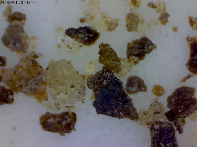 Nottingham Science Blog: Food under the microscope