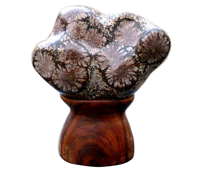 Korean FlowerStone Suiseki