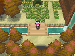 Turismo Pokémon: Rota 15, Marvelous Bridge, Rota 16 e Lostlorn Forest