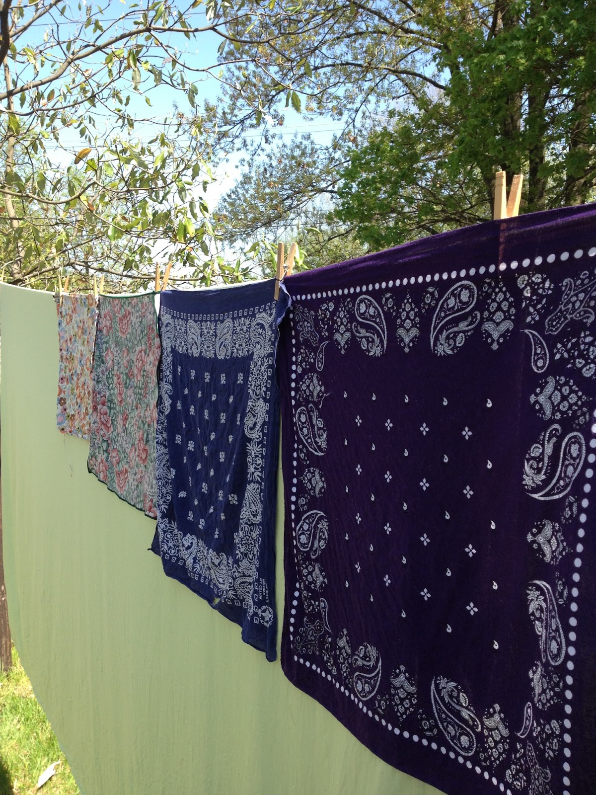 Fast, Cheap, and Good: Sustainability, One Choice at a Time: Top Ten ...