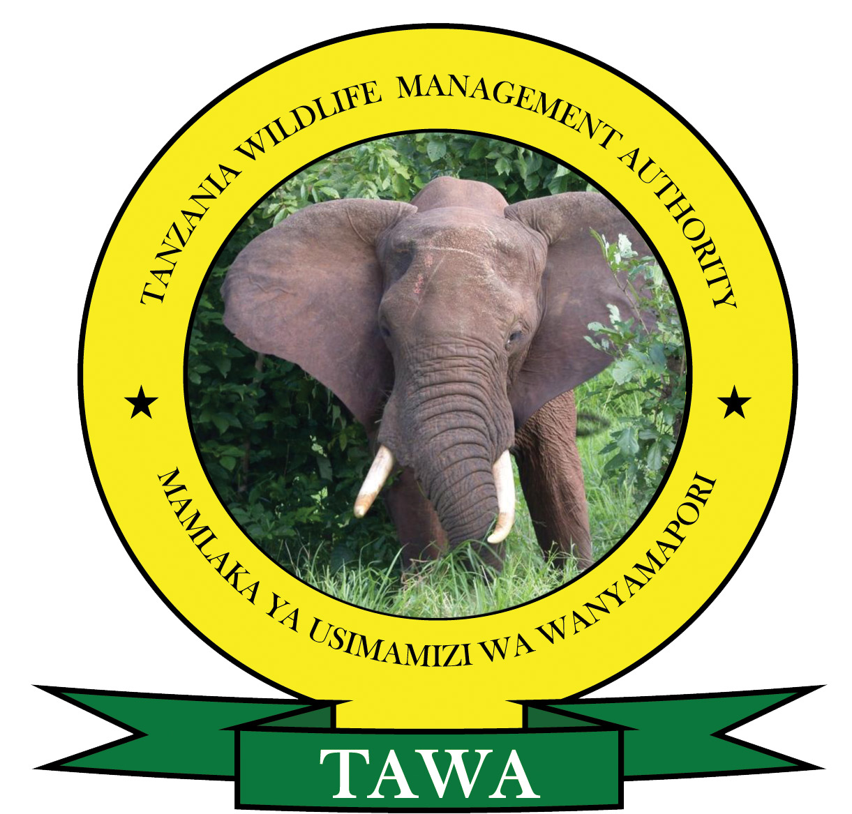 ‘TAWA’ To Bolster protection and conservation of Wildlife in Tanzania ...