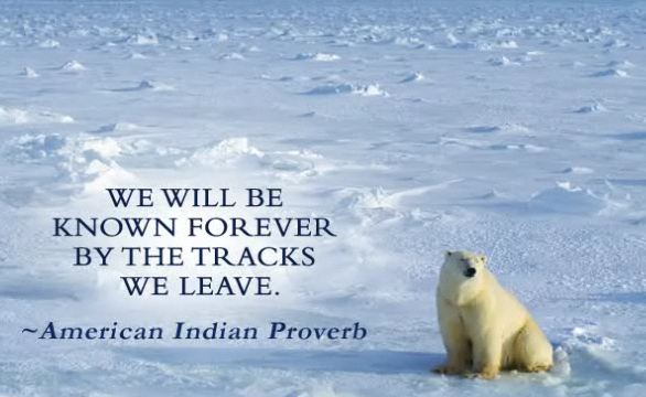 Olivia's Insights and Awareness: Leaving My Tracks...