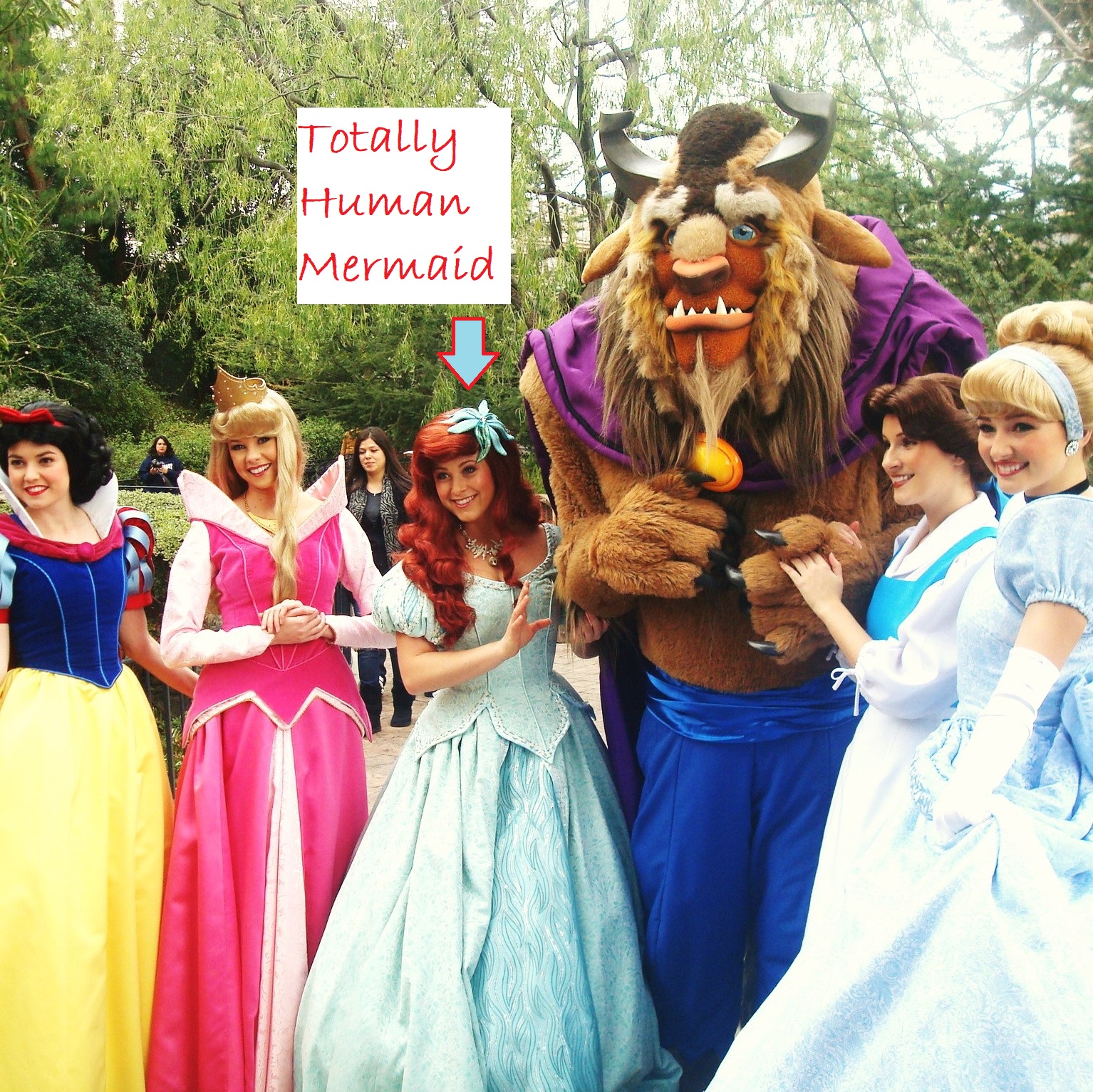 What is a Mermaid's Diet?