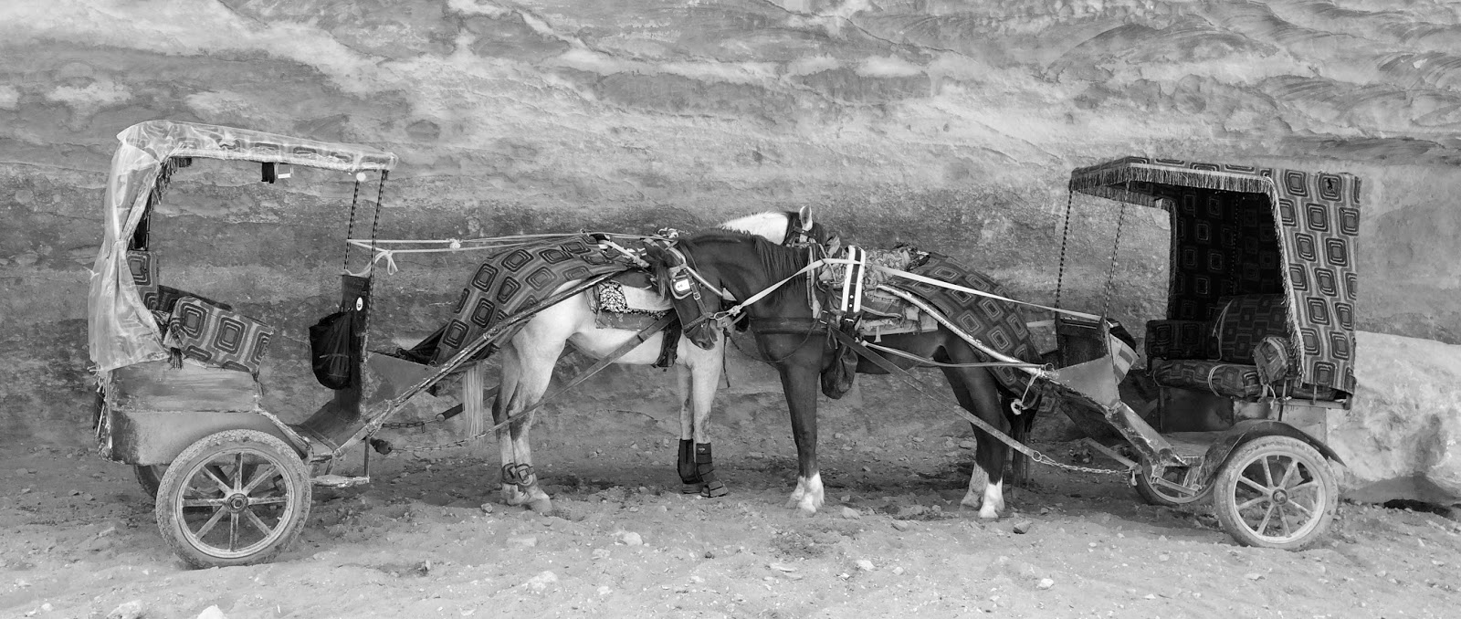 Amy Block - Learning