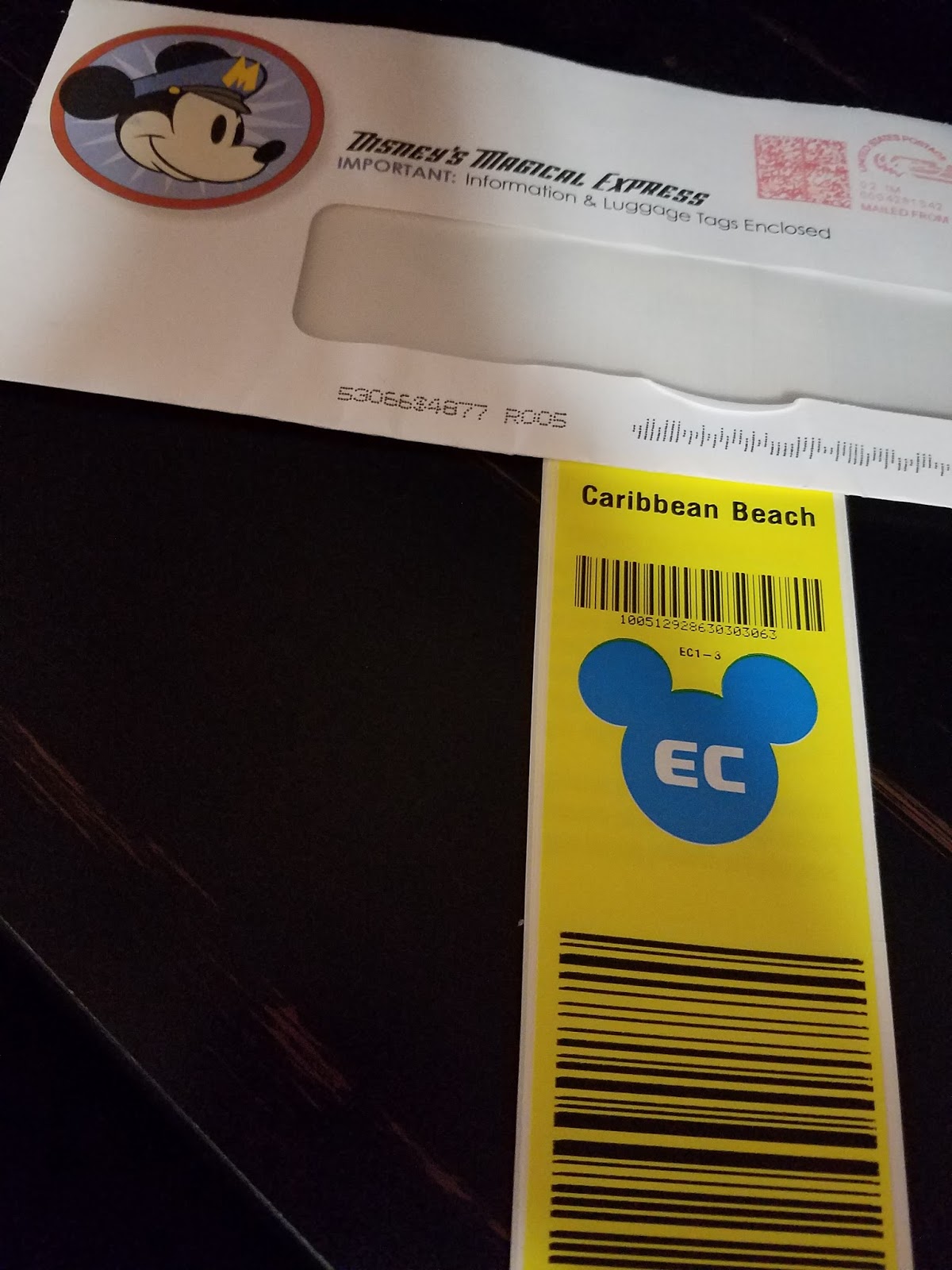 Journey with Birdy: Disney's Magical Express