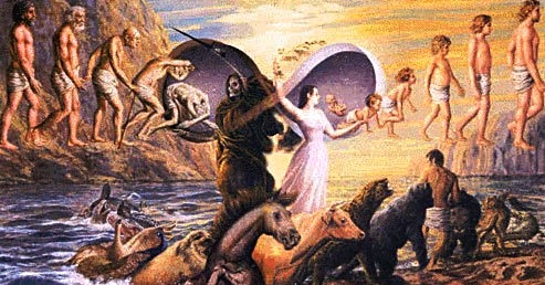 67 Not Out: Could This Be Proof Of Reincarnation?