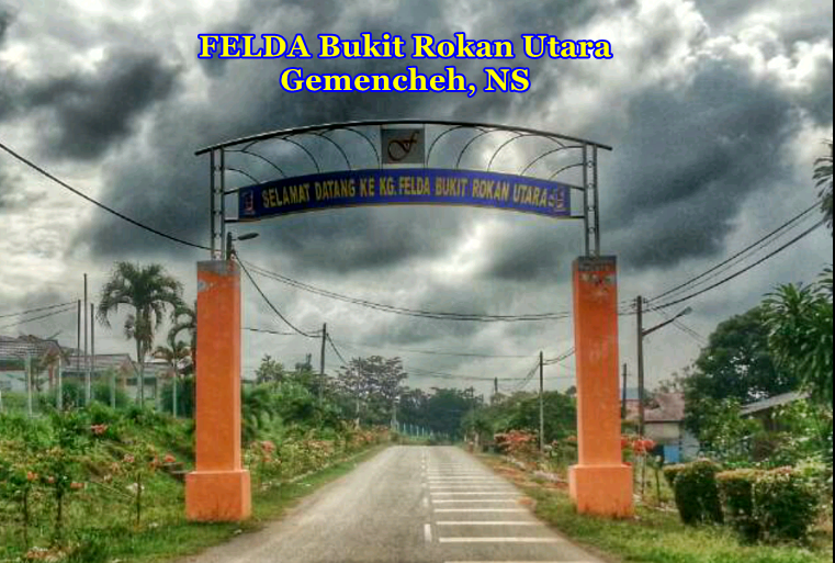 Hj. Zulheimy Ma'amor: 1995 - 2011 : NEGERI SEMBILAN